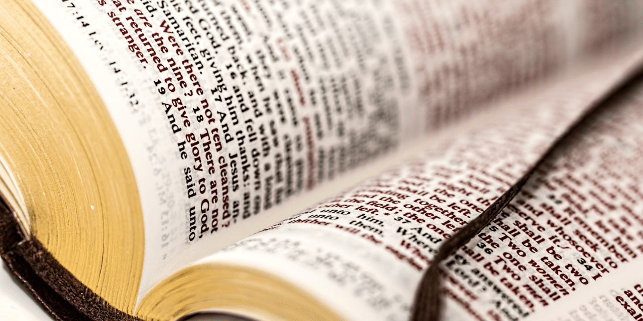 What does the day to day missionary work look like in a business as ...